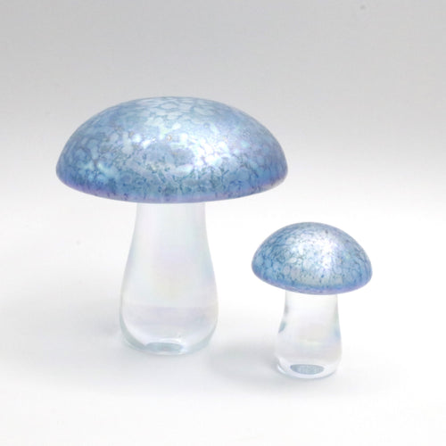 Ditchfield Glass